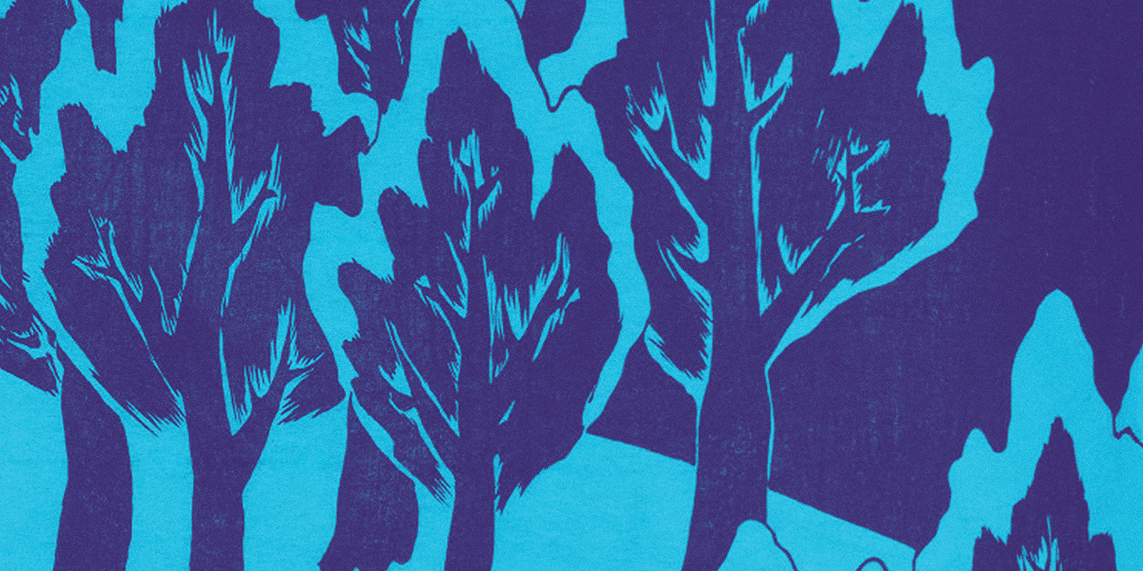 ARTEMIS ANNOUNCES NEW ALBUM "ARBORESQUE" OUT FEB. 28; VILLAGE VANGUARD ...